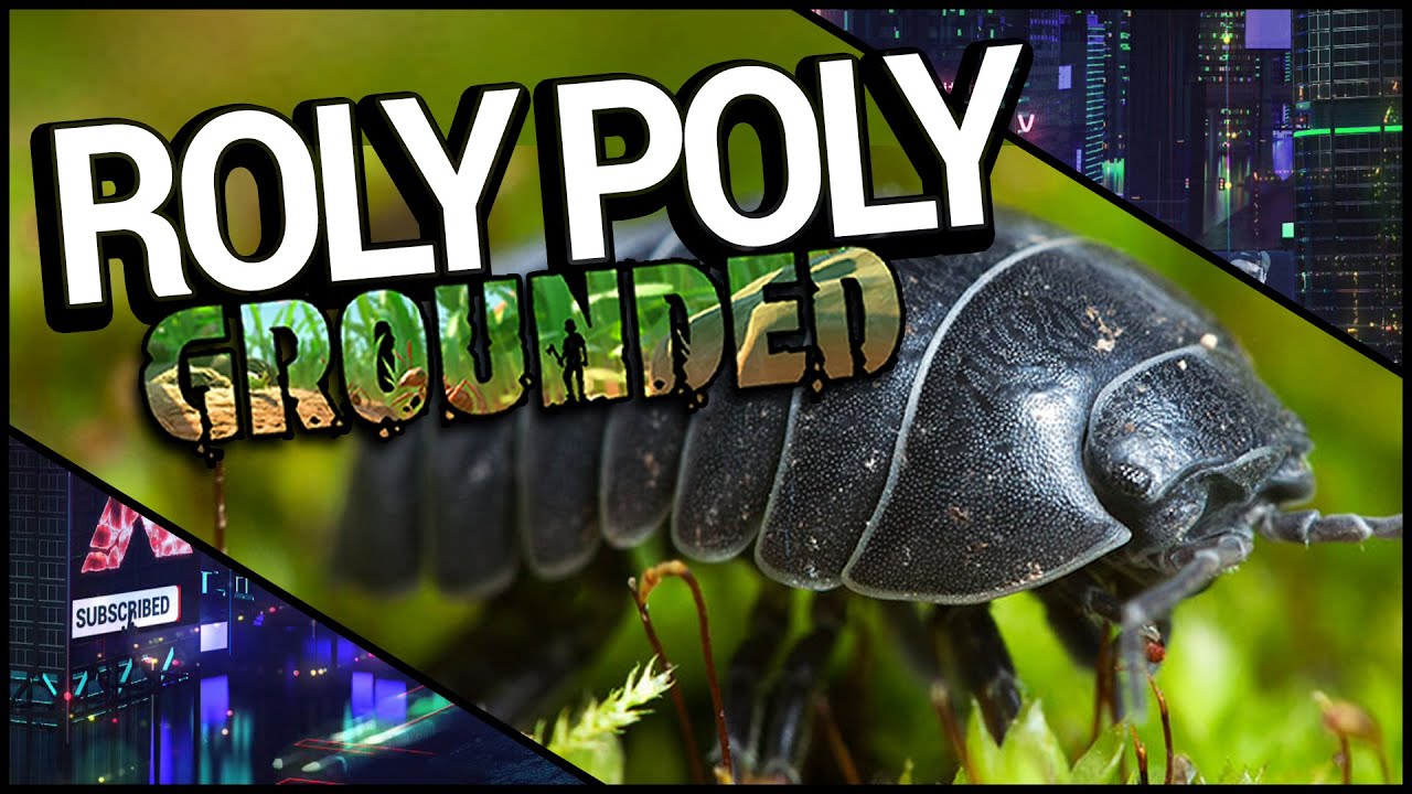 Grounded roly poly weakness