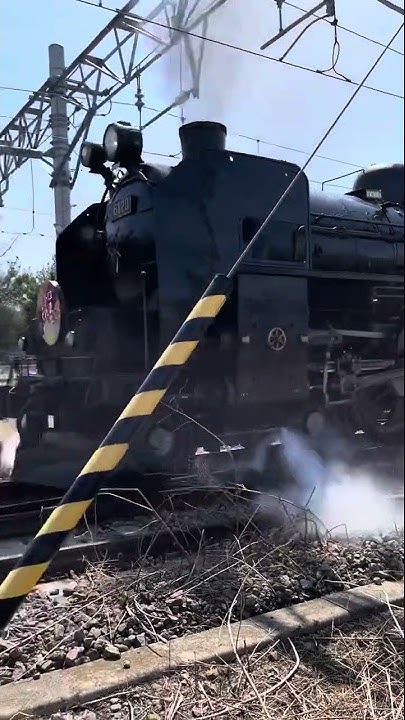 機関車 蒸気機関車をみにいきました♪JR線 群馬県 #蒸気機関車 #sl #d51200 #両毛線 - YouTube