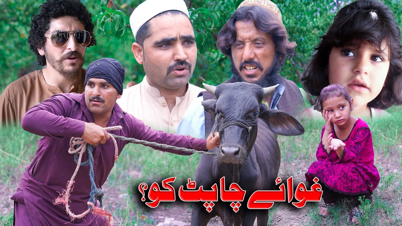 Qurbani || Ghwai Cha pat ko ? || New Eid video By Swat Kpk Vines 2022 ...