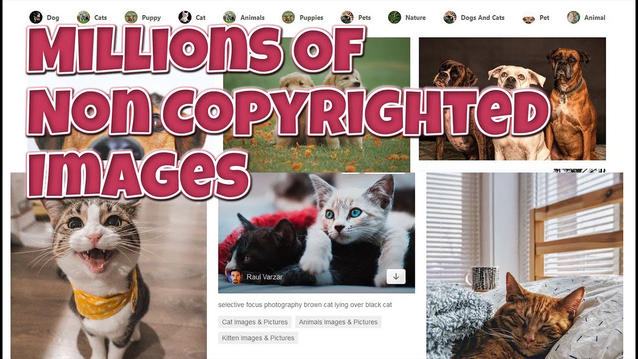 How To Find Free Non-copyrighted Images For Wordpress Site - YouTube