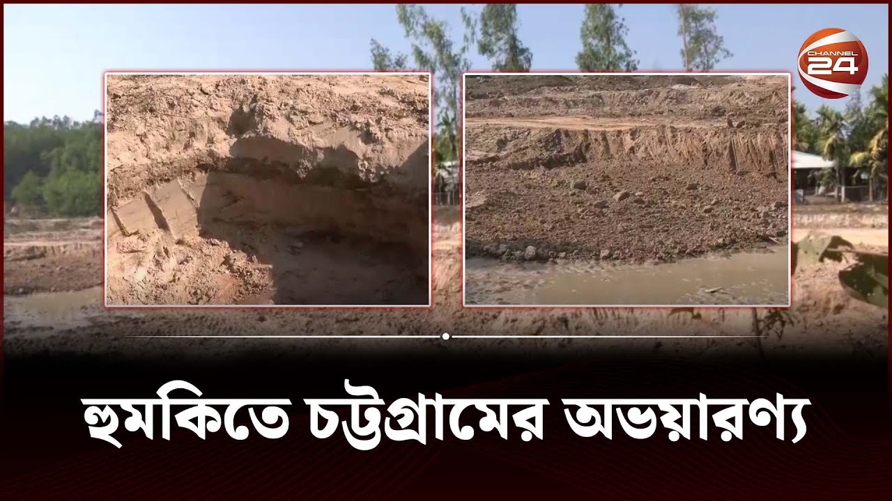 চট্টগ্রামে প্রকাশ্যে বন উজাড় করছে ভূমিদস্যুরা; চলছে পাহাড় কাটার মহো ...