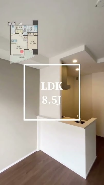 同棲にオススメの1LDK🫶☺️【お問合せ番号】：20230218t #short #福岡 #不動産 #部屋探し #カップル #同棲 #賃貸 - YouTube