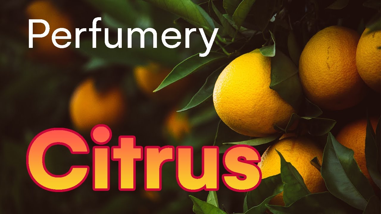 Learning Perfumery: Citrus (Perfume Raw Materials) - YouTube