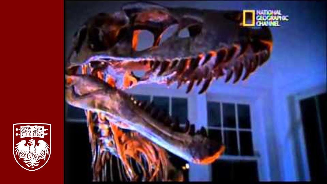 Dinosaur Train Raptorex