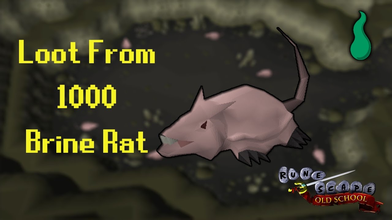 Old School RuneScape: Loot From 1000 Brine Rat - YouTube