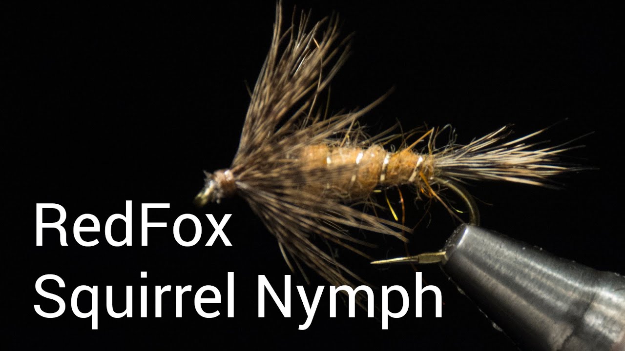 RedFox Squirrel Nymph - Fly Tying Tutorial - YouTube