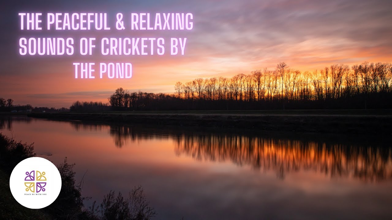 Cricket Sounds - Crickets Chirping At Night By The Lake - Nature Sounds ...