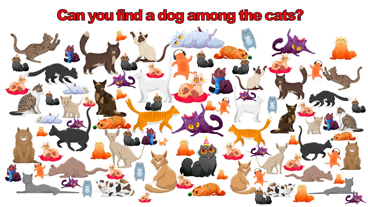 Can You Find a Dog Among the Cats? - YouTube