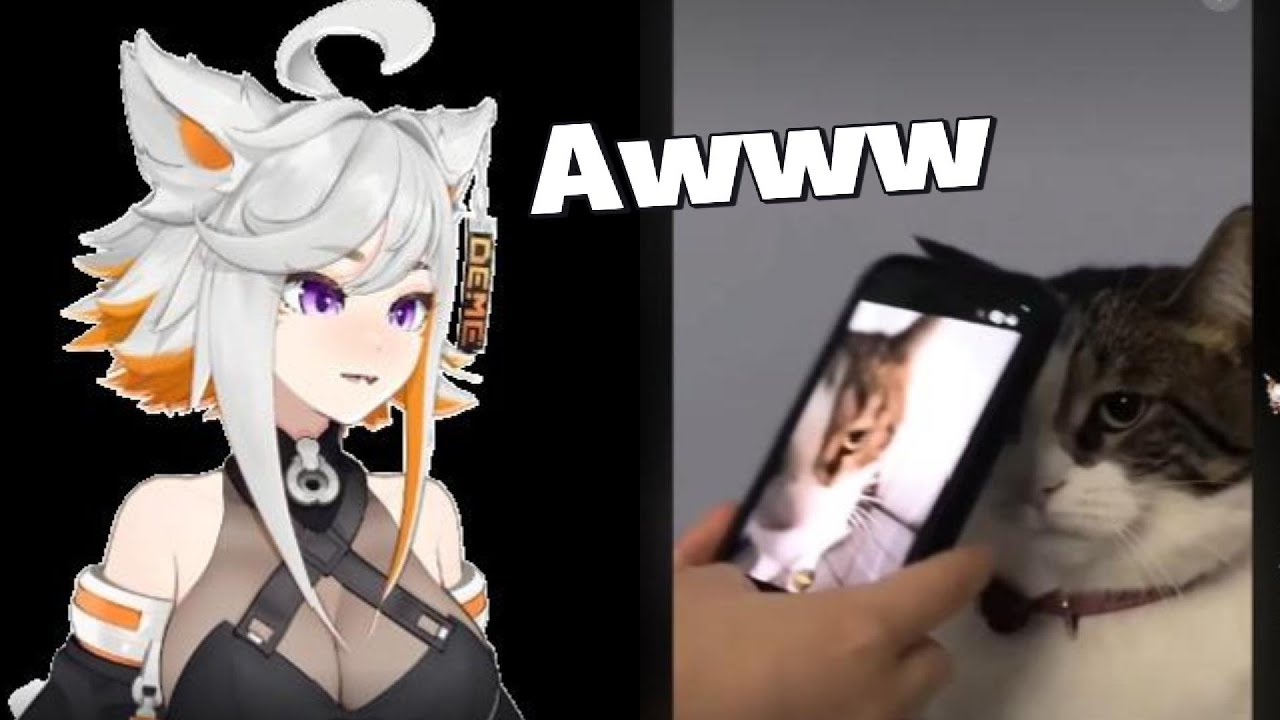 Deme Reacts to Memes that are Actually Funny - YouTube