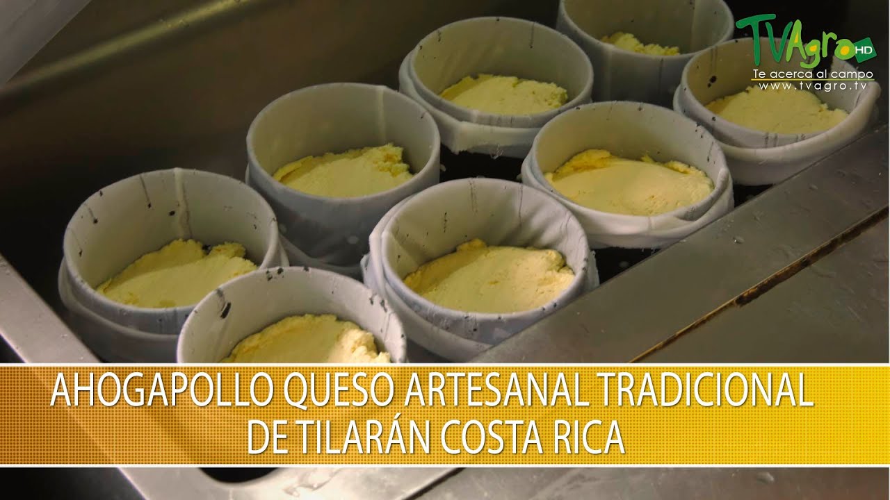 Ahogapollo Queso Artesanal Tradicional de Tilaran Costa Rica- TvAgro ...