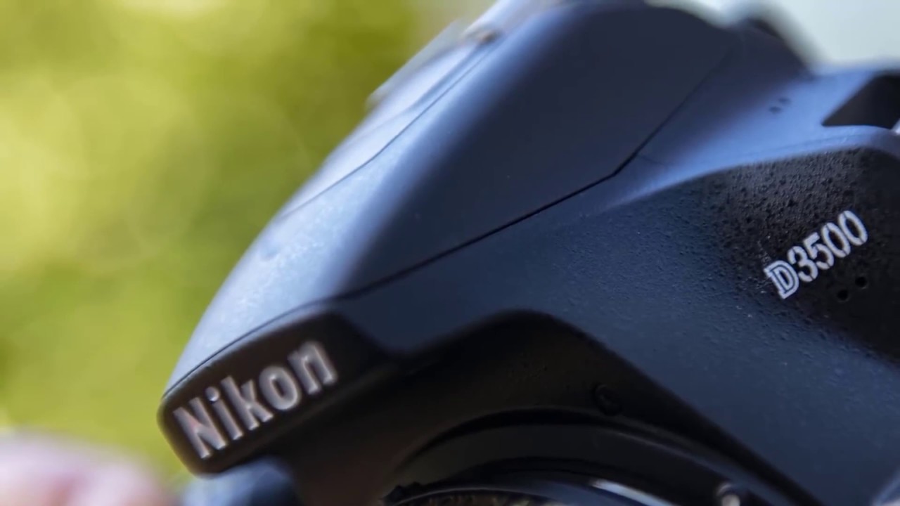 Nikon D3500 Camera Review - YouTube