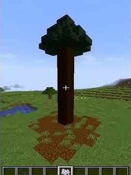 How to GROW LARGE TREES Quickly in Minecraft ? For Basic Learners - YouTube