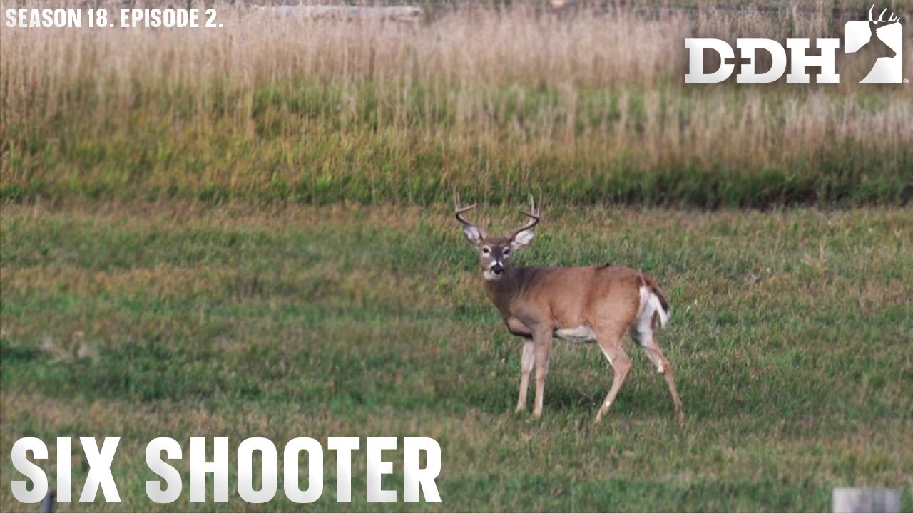 Giant 6-Pointer Down, Plus a 10-Pointer | Deer & Deer Hunting TV - YouTube