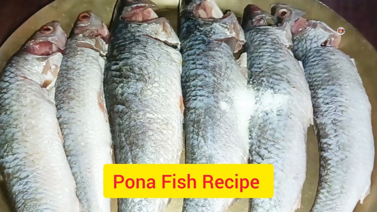 Simple Pona Fish Potato Curry - Pona Fish Potato Recipe -Without Onion ...