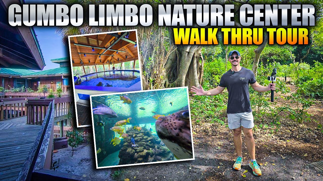 Gumbo Limbo Full Walking Tour in 4k - YouTube