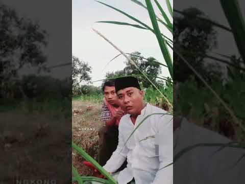 Ngintip janda lagi mandi