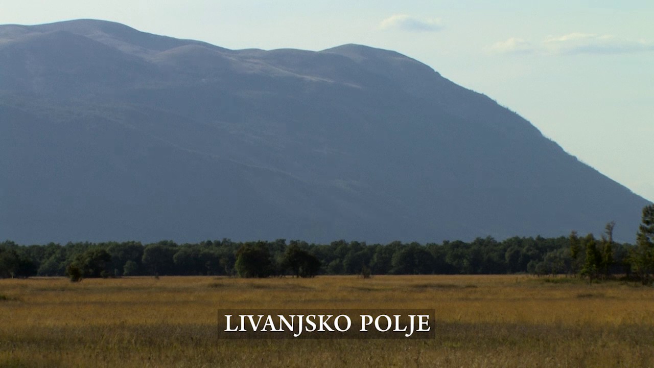 Hutovo blato, Livanjsko polje i Bardača - YouTube