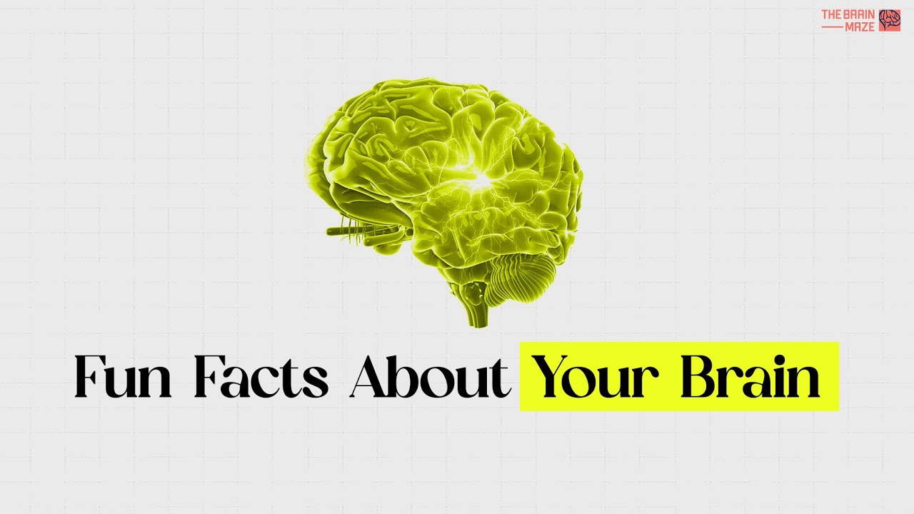 Fun facts about your brain - YouTube