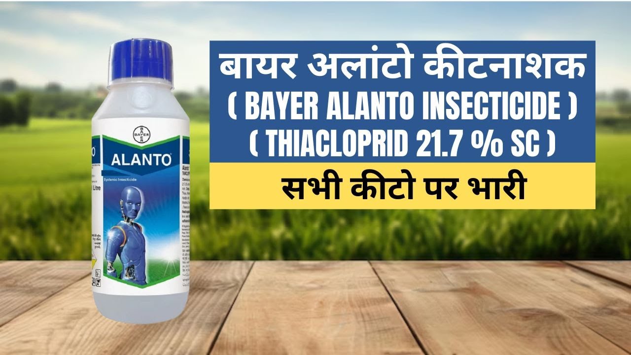 बायर अलांटो कीटनाशक ( BAYER ALANTO INSECTICIDE ) THIACLOPRID 21.7 % SC - YouTube