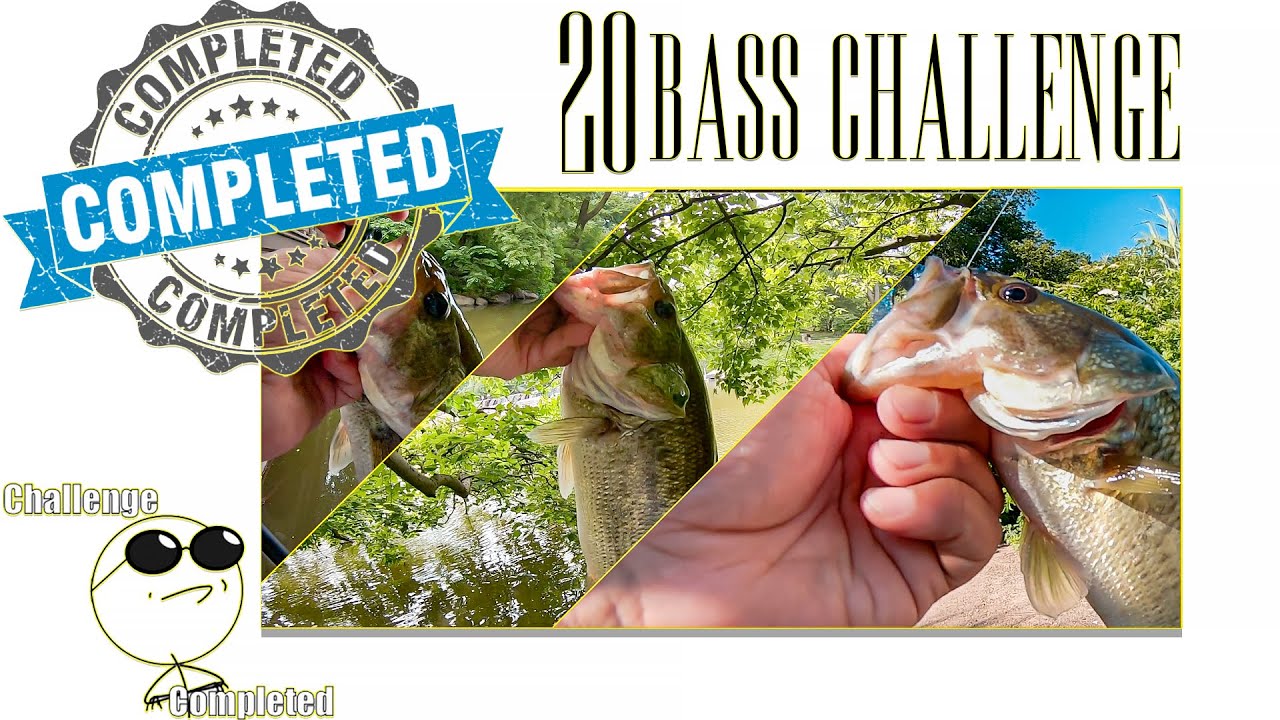 20 BASS CHALLENGE AT CENTRAL PARK "The Lake" BABYYYYYY!!! - YouTube