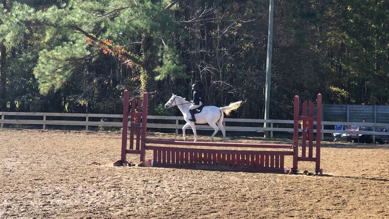 Fox Ridge Farm IEA Show - YouTube