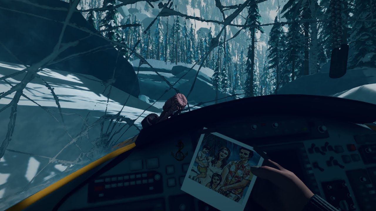 We survive a Plane crash, but will we survive the coming days? - YouTube