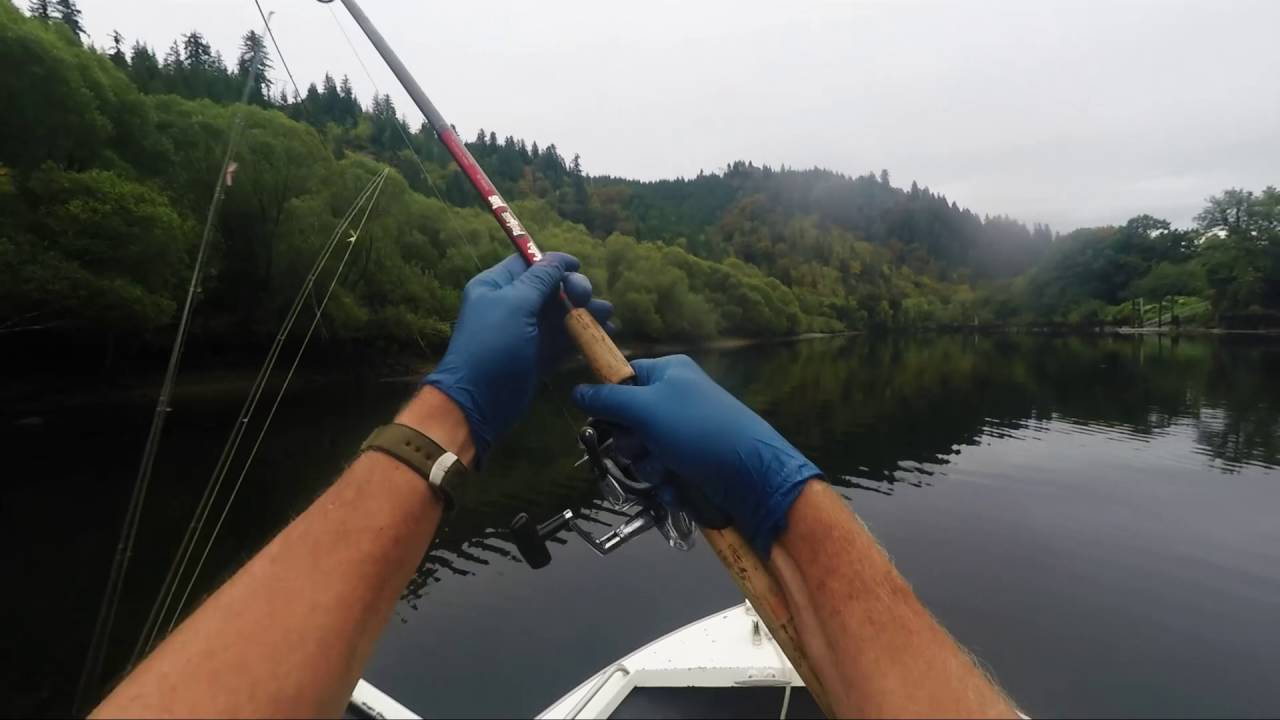 Barrows Fishing - Fall Chinook 2016 - Bobber Down! - YouTube
