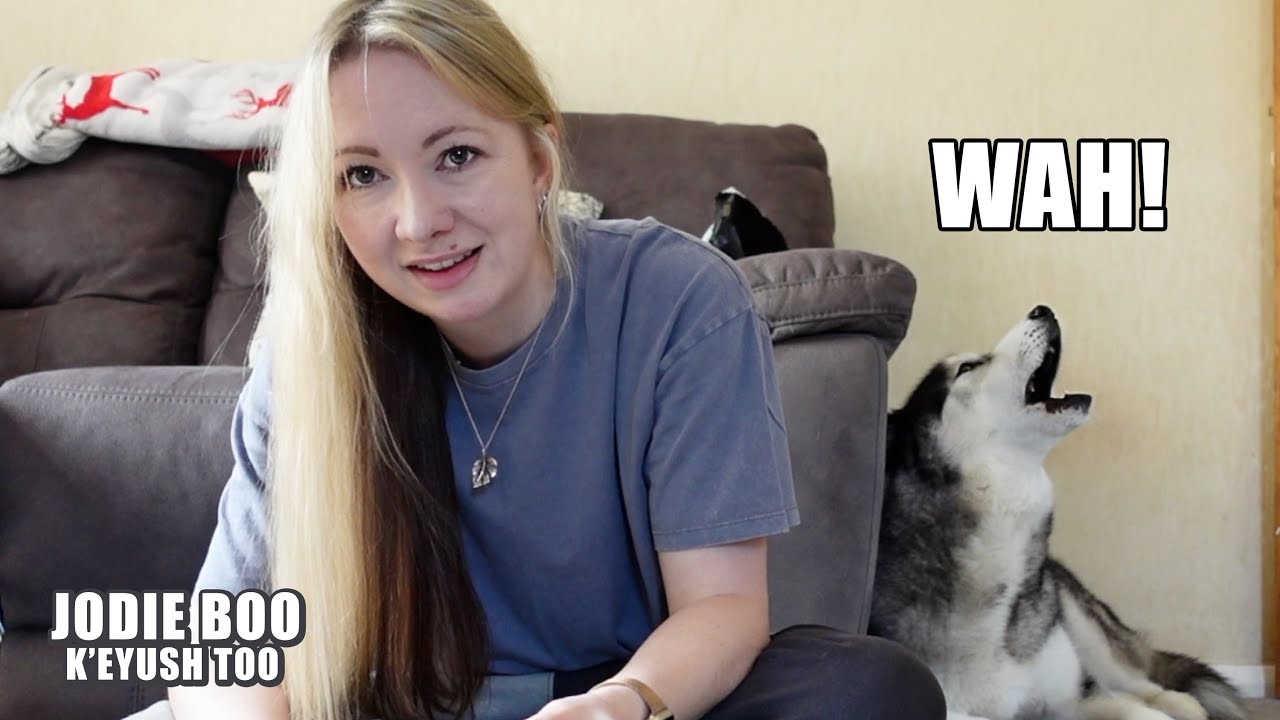 Serenaded By My Husky Plus Garden/Veg Update! - YouTube