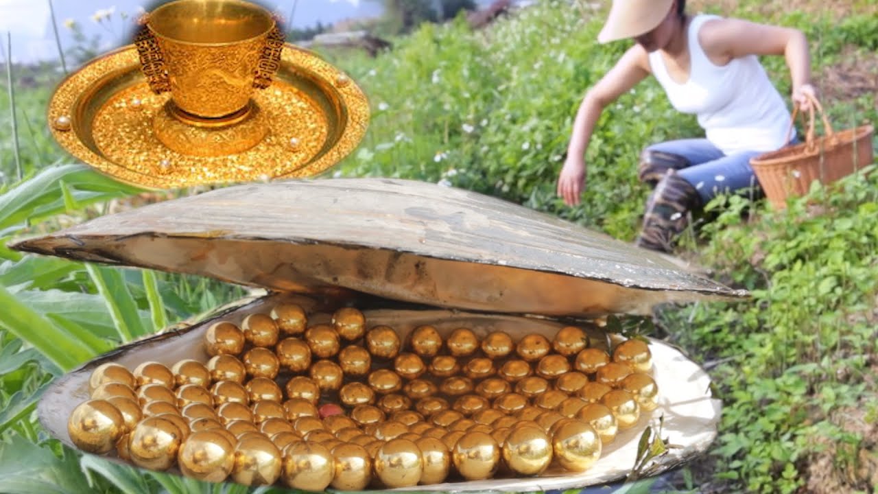 Giant golden pearls found in super clam shells, pearl hunters make a ...