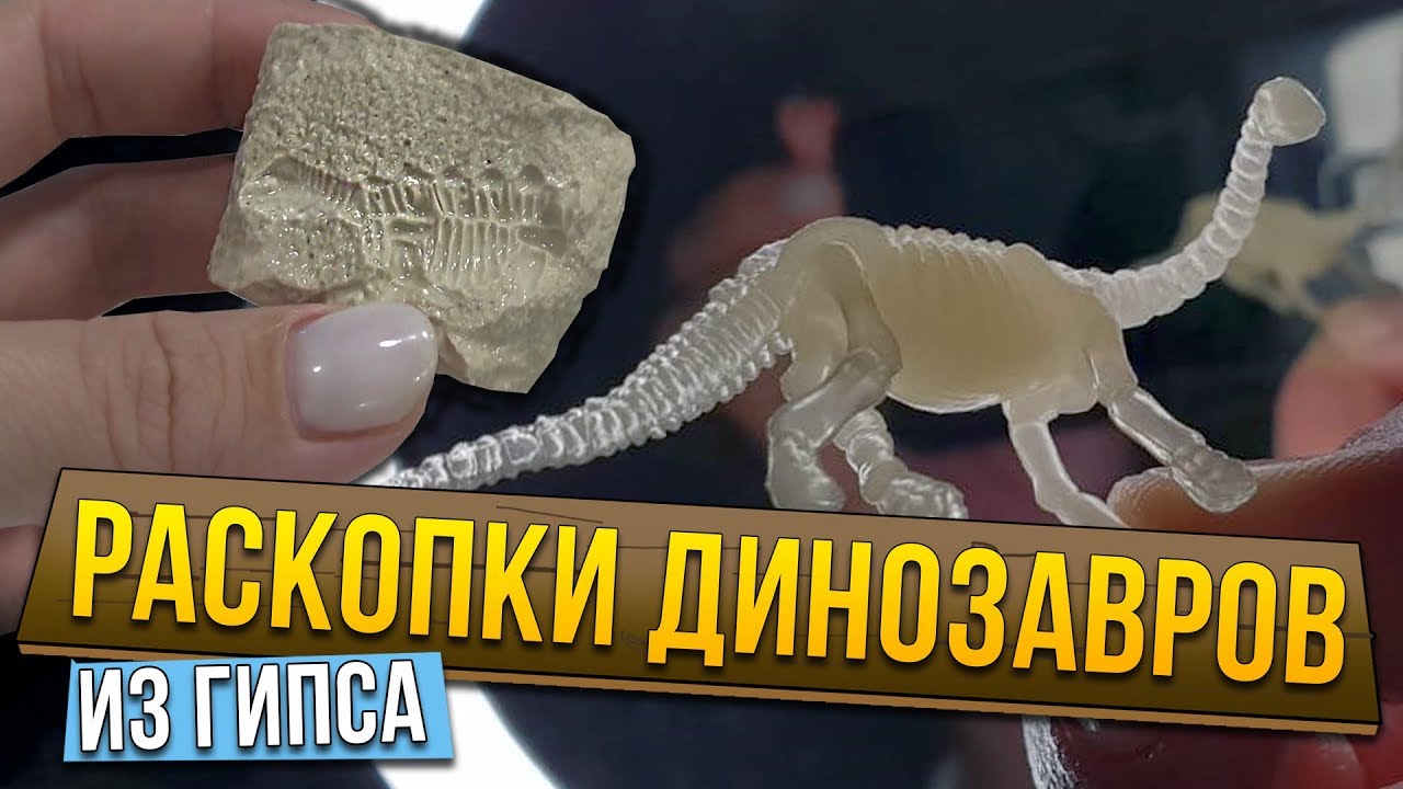 Раскопки динозавров в горах Сочи. Игрушки динозавры Dinosaur Fossils ...
