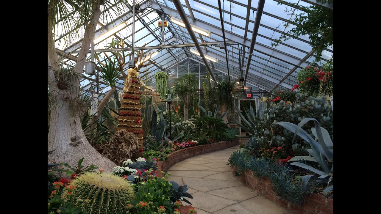 Allan Gardens and Centennial Park Conservatory fully open - YouTube