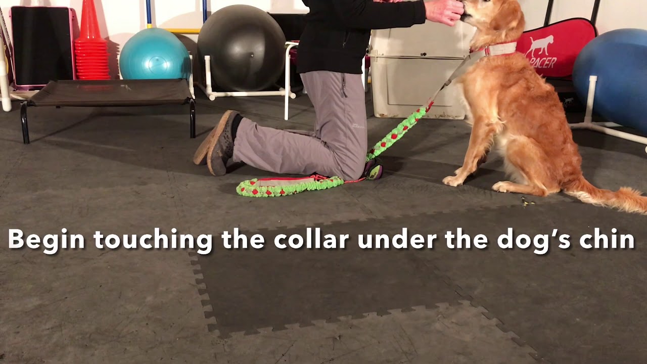 Collar grab game - YouTube