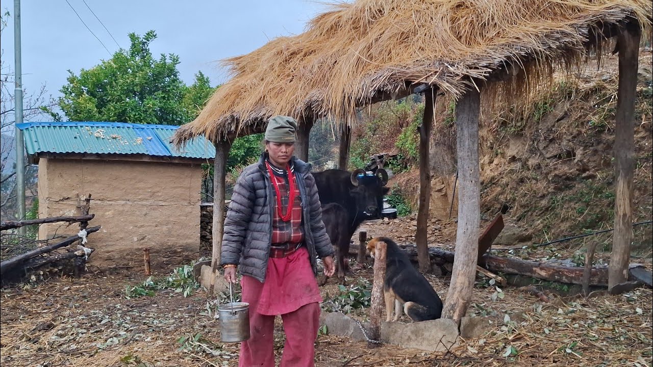 Nepali Rural Life || Organic And Beauty village Life || Relaxing ...