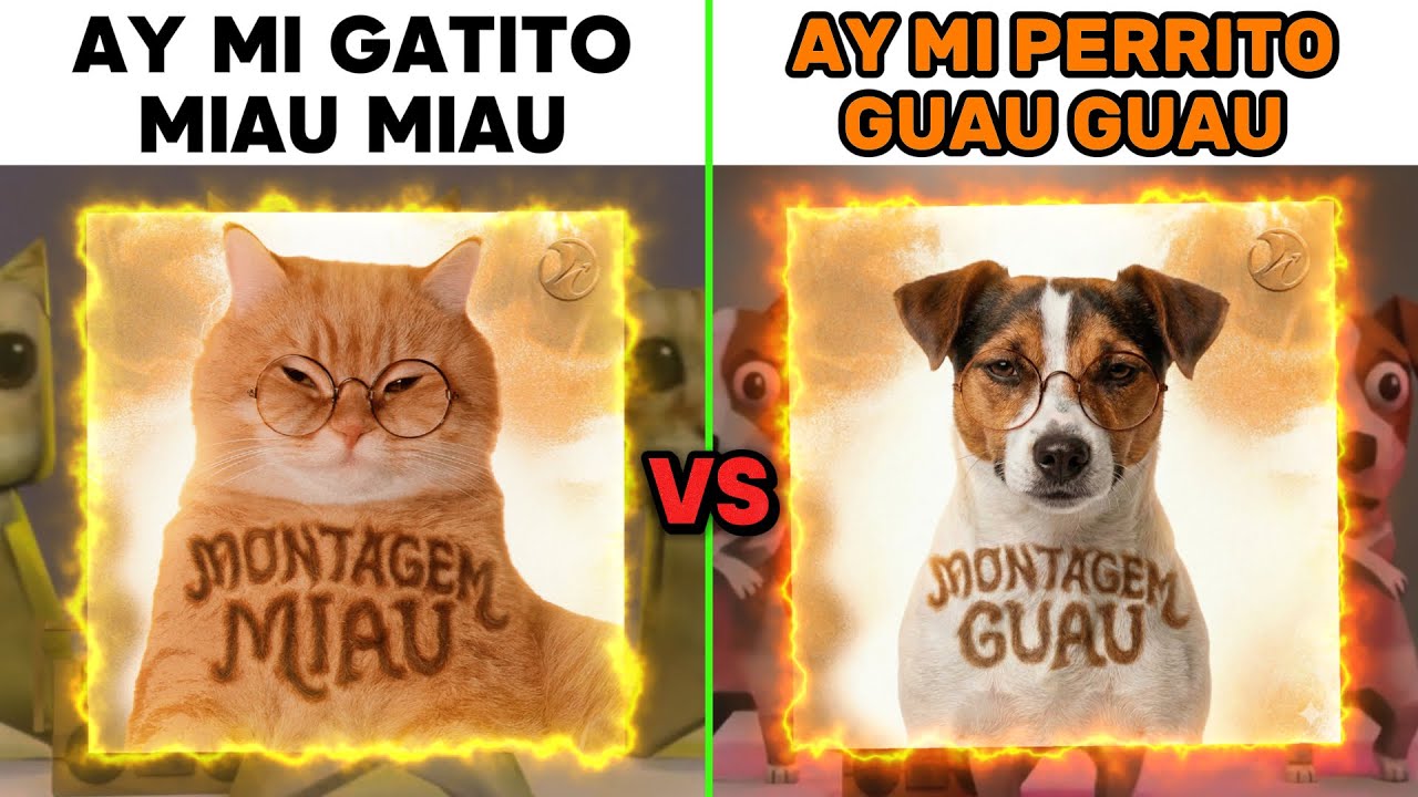 Ay Mi Gatito Miau Miau vs Ay Mi Perrito Guau Guau (Montagem Miau vs ...