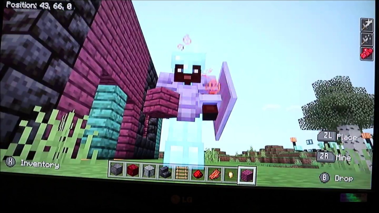 Minecraft 1.16 Boss Battles Nether Update| Flaring Fun - YouTube