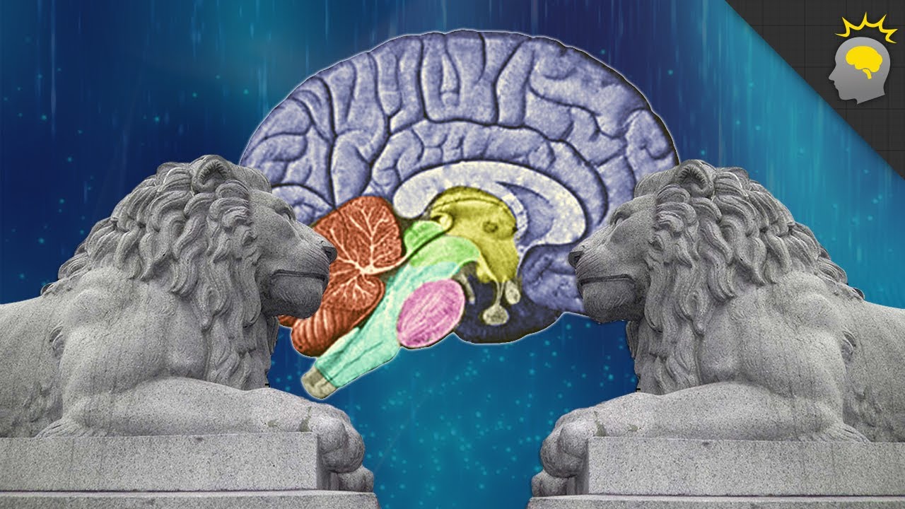 Constructing a Memory Palace - Epic Science #27 - YouTube