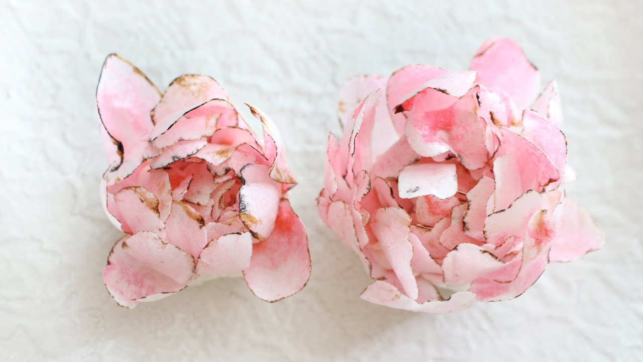 How To Make Wafer Paper Peony YouTube how-to-make-wafer-paper-peony-youtube
