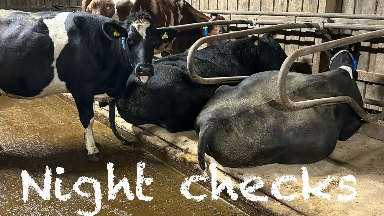 Come on night checks with me - YouTube