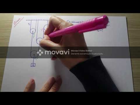 Makaralar Soru Çözümü-AYT ve 11.sınıf