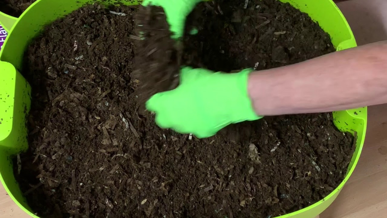 Worm Farming Hacks -Part 3 Urbalive Stacking System Brim to Brim Work ...