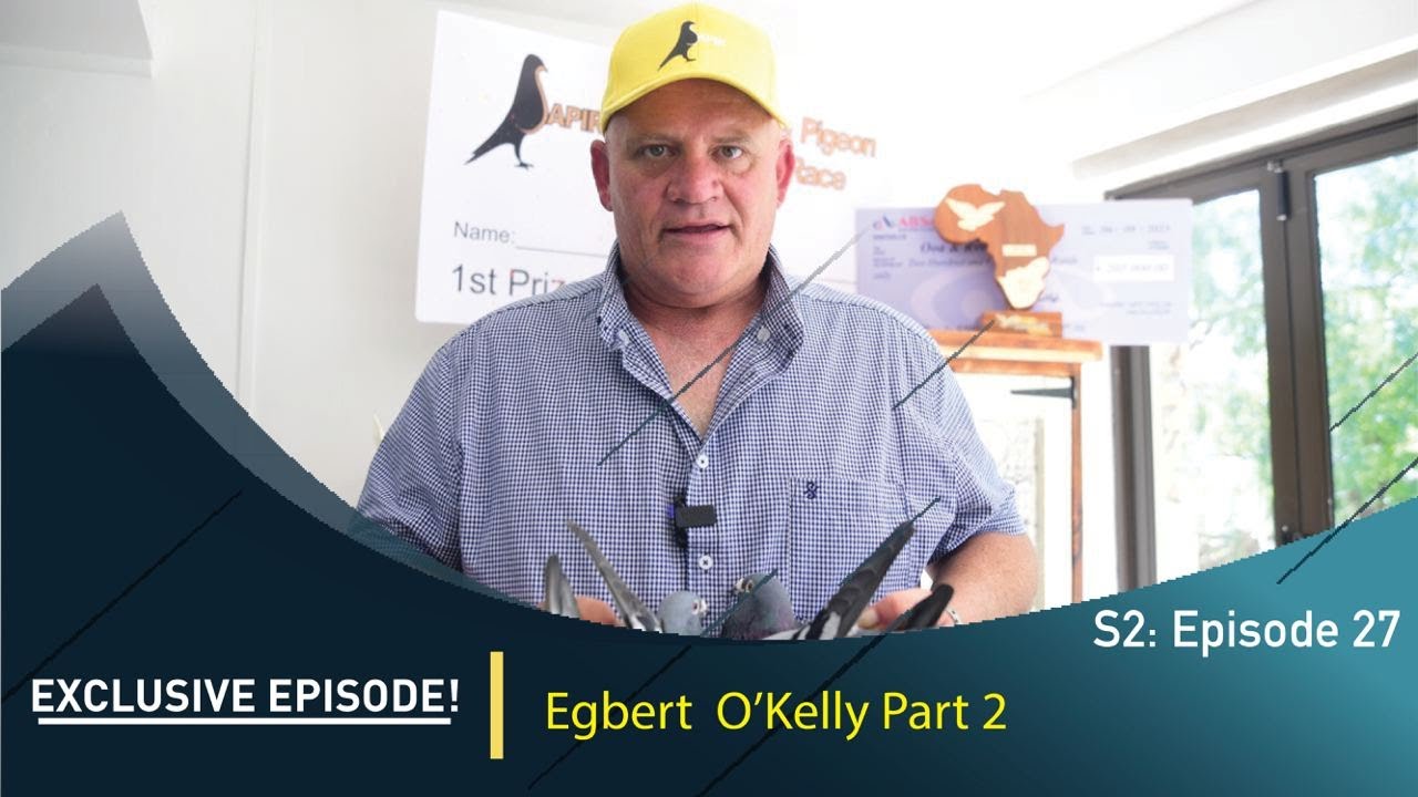 Pigeon Duiwe News TV- Egbert O'kelly PART 2!! - YouTube