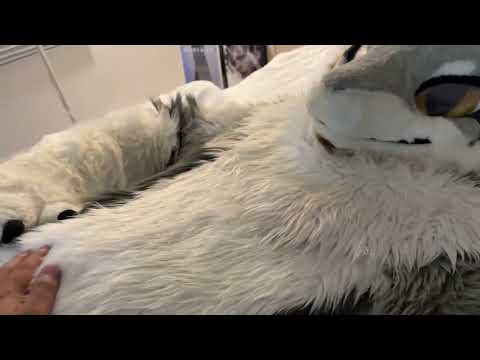 Lying in bed acting cute while being tickled...