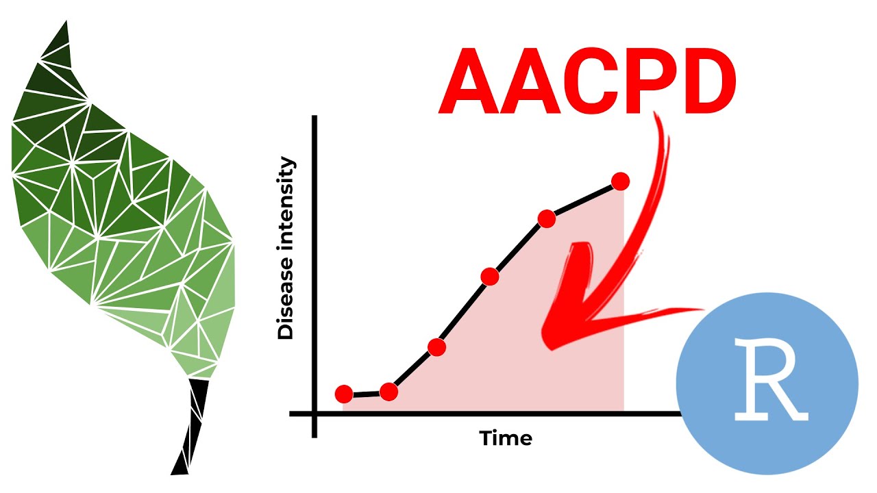 Como calcular a AACPD no R - YouTube