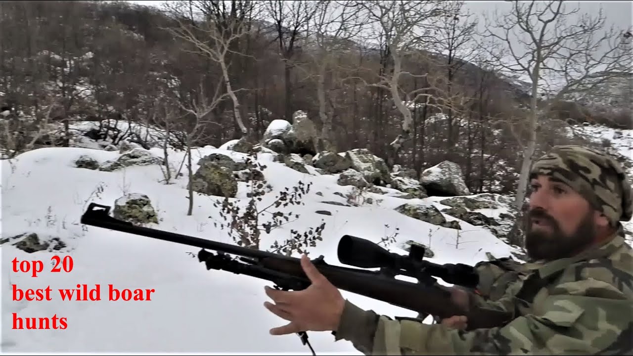TOP 20 BEST SHOTS HUNTİNG WİLD BOAR| EN İYİ 20 DOMUZ AVI| CHASSE AU ...