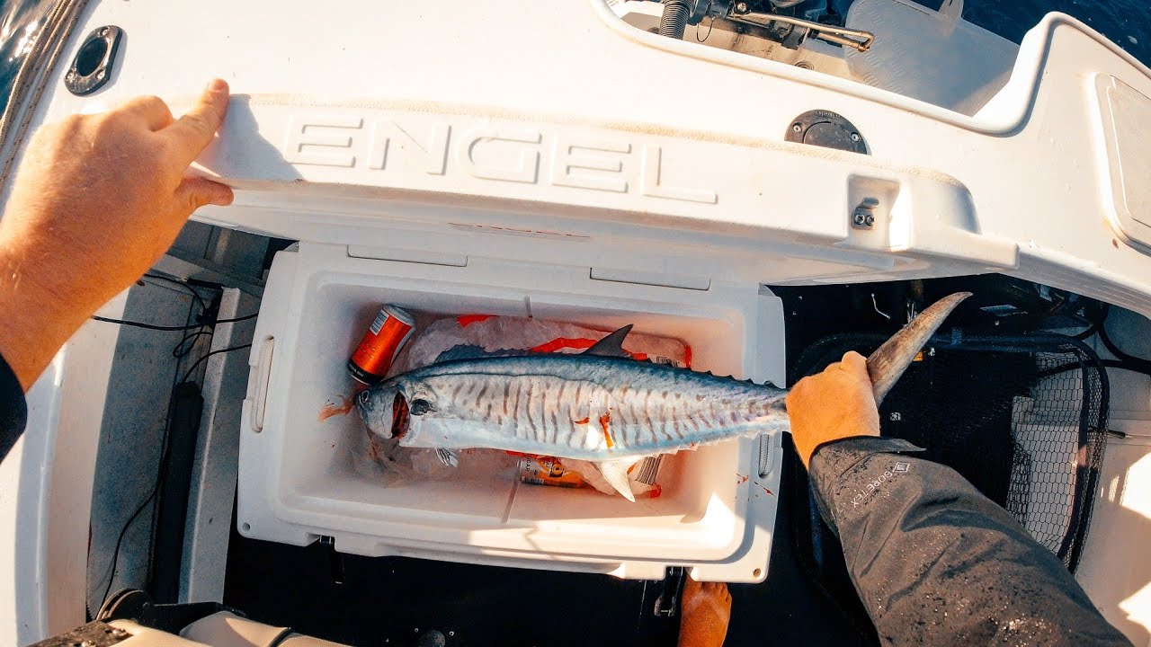 Esky mission - living from the sea - YouTube