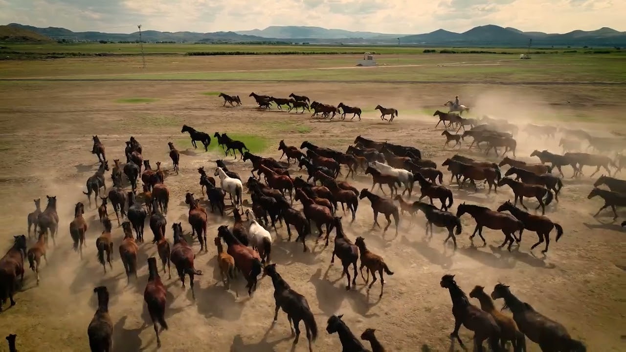 Explorer the World - YouTube