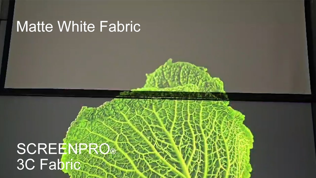 SCREENPRO 3C vs Matte White Projection Screen - YouTube