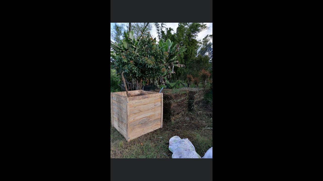 Proceso para realización de pacas biodigestoras, Universidad minuto de ...