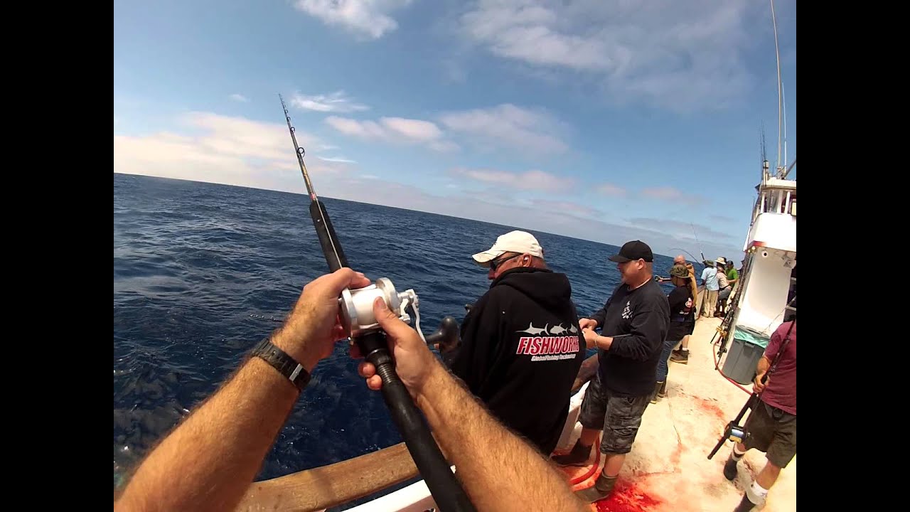 Shogun Tuna fishing 8 days 6-16-13 - YouTube