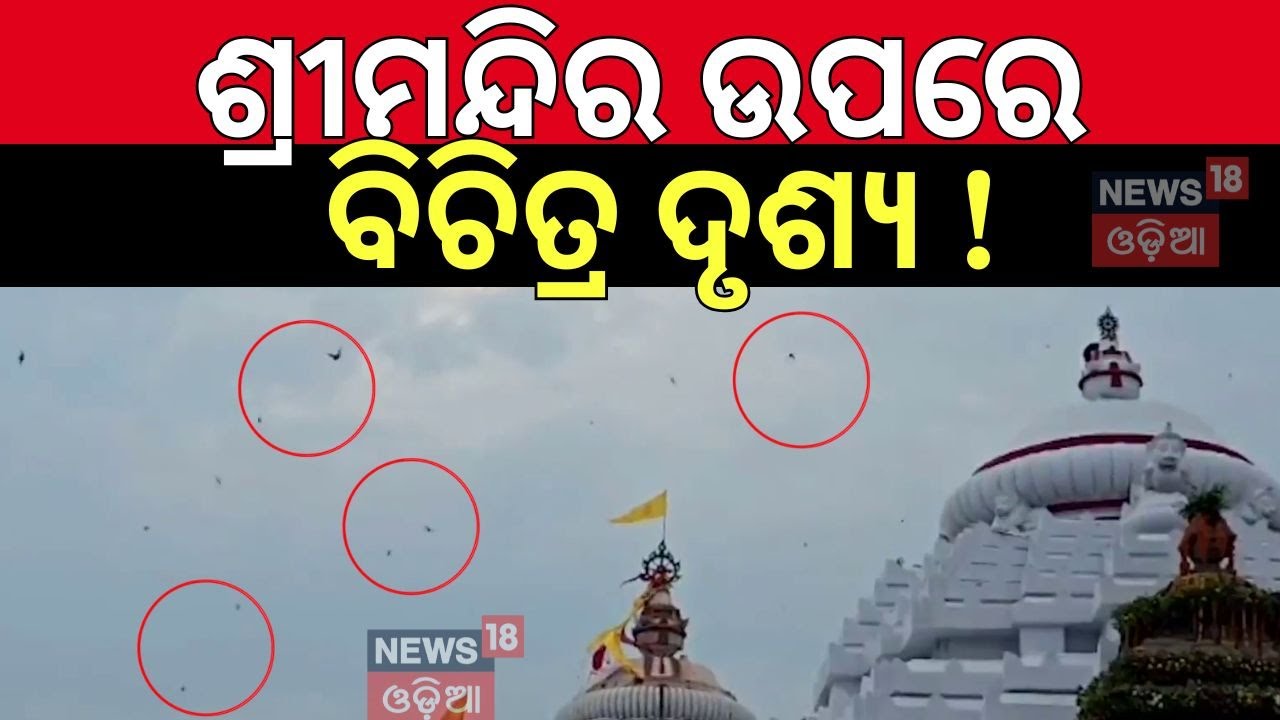 ଶ୍ରୀମନ୍ଦିର ଉପରେ ବିଚିତ୍ର ଦୃଶ୍ୟ !Birds Fying Over Puri Shree Mandira ...